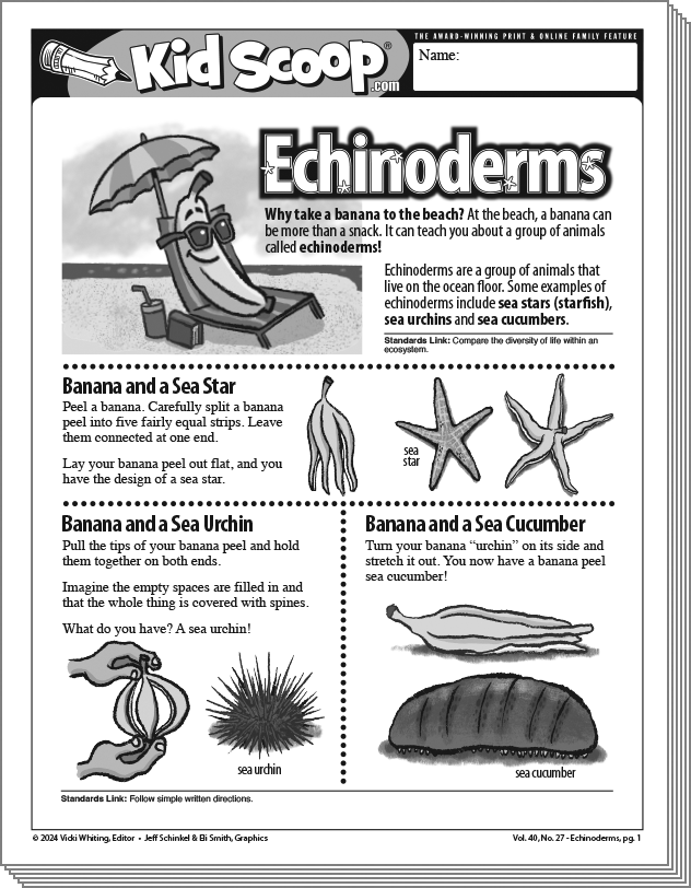Echinoderms Kid Scoop Echinoderms Kid Scoop